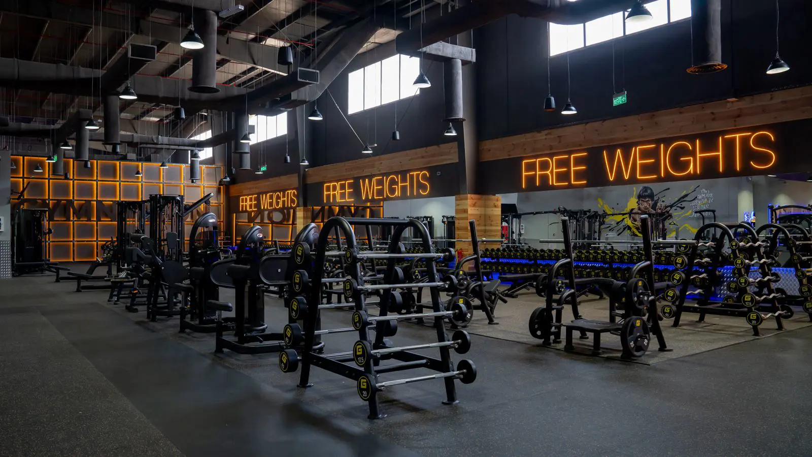 Gyms Near Me | Nearest Gym | GymNation UAE