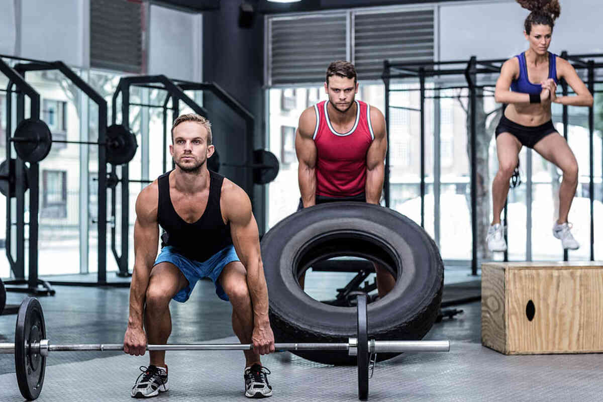 Full-Body Training vs. Split Routines for Fat Loss | GymNation