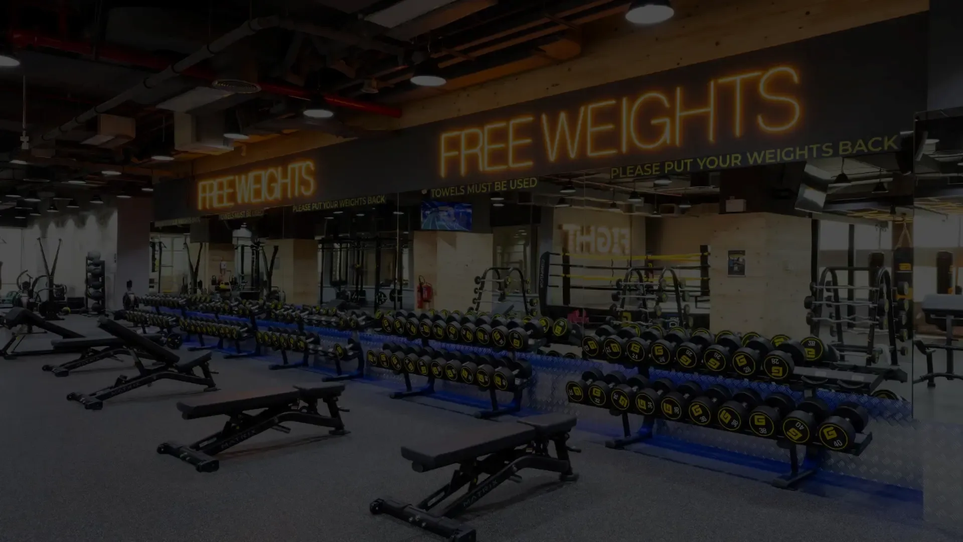 Gyms in Motor City | Best Gym in Dubai | GymNation